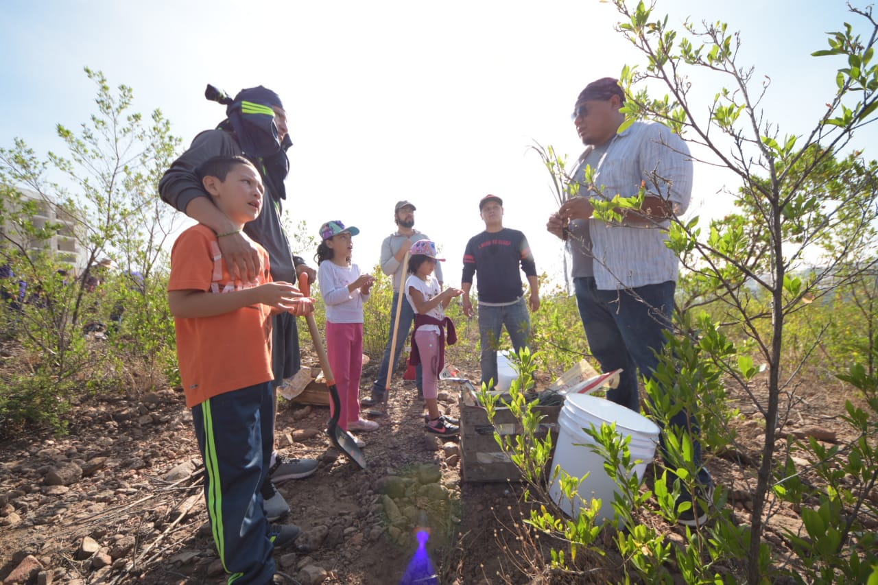 INICIA SEGAM Y CONAFOR PROGRAMAS NACIONALES DE REFORESTACIÓN 2019 DE 7. ...